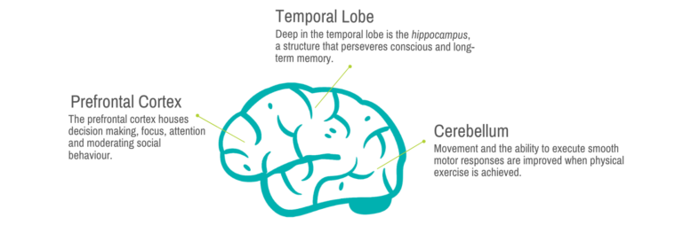 Physical Activity And Mental Health - YouthSMART